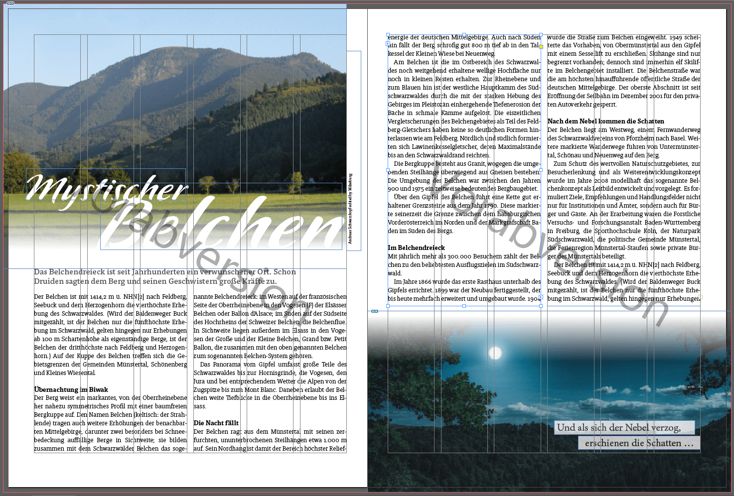 Script Wasserzeichen Project Octopus