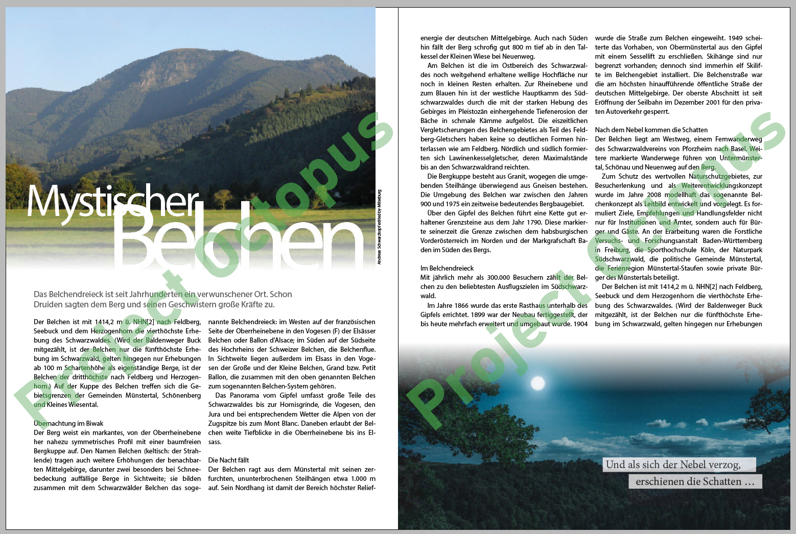 Script: Watermark - Project Octopus